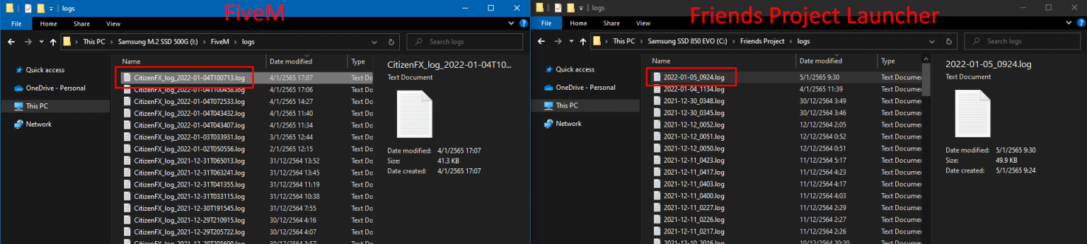 Log FiveM, Friends Launcher – Friends Project